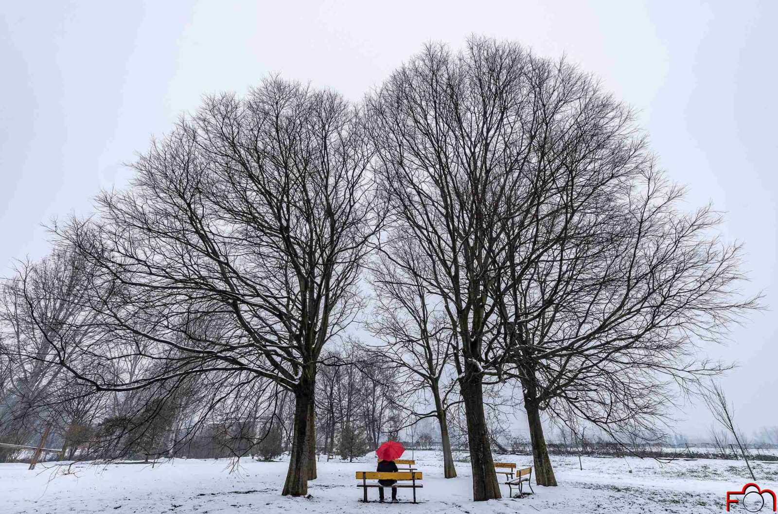 Parco Castello Legnano 2 - eNews Museo Fratelli Cozzi